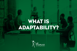 What is Adaptability?